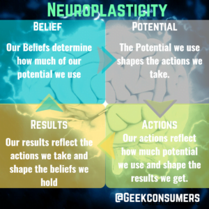 The Ultimate Guide To Neuroplasticity